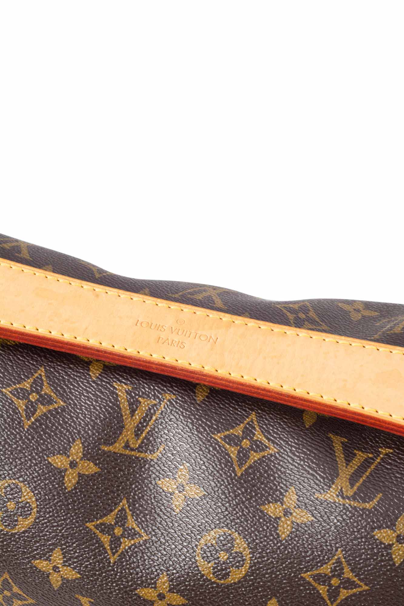 Louis Vuitton Monogram Sully PM Hobo Bag Brown